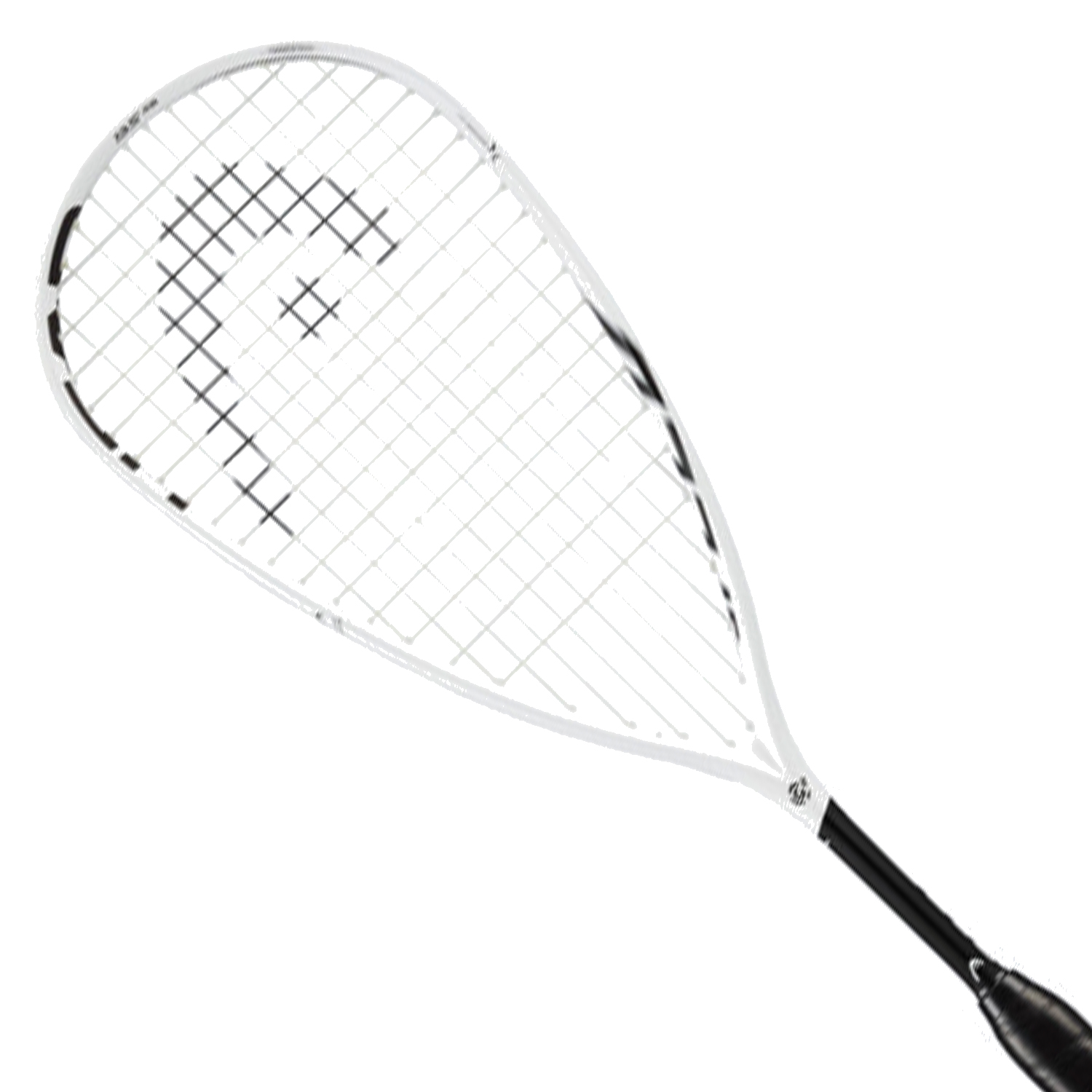 Head GRAPHENE 360+ SPEED 135 SLIMBODY | Rackets Kingdom